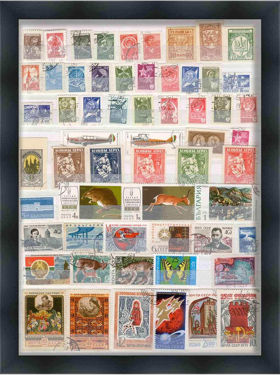 Amazon.com - 30x40 Shadow Box Black Solid Wood Display Frame | 2 Inch ...