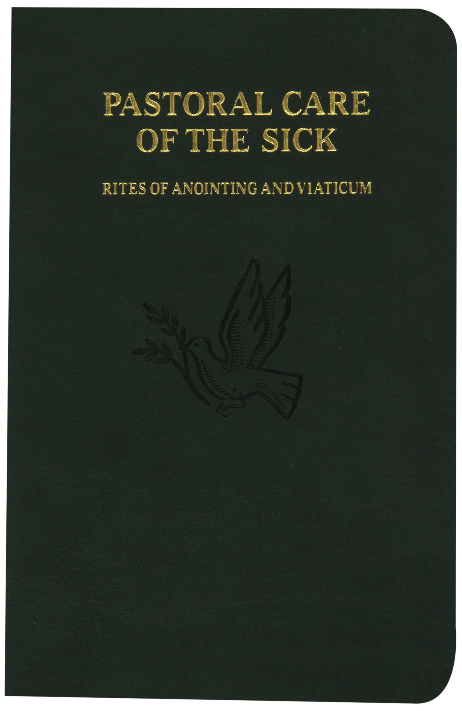 Snapklik.com : Pastoral Care Of The Sick: Rites Of Anointing And ...