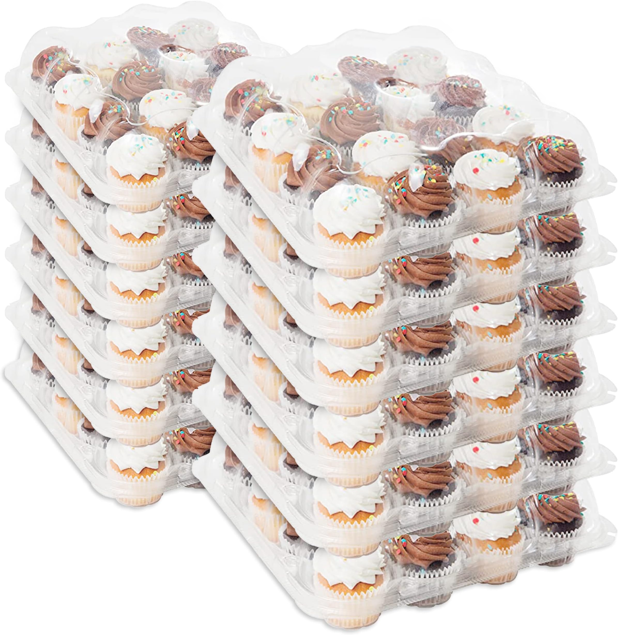 Amazon.com: (12 count x 12 sets) TIPSY TOP SWEETS Cupcake Boxes - 12 ...
