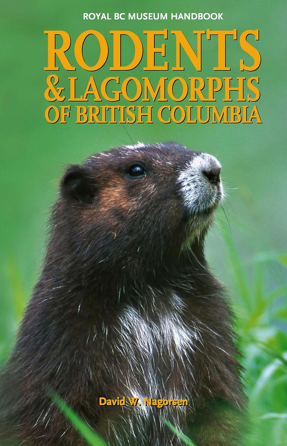 Rodents and Lagomorphs of British Columbia: Nagorsen, David ...