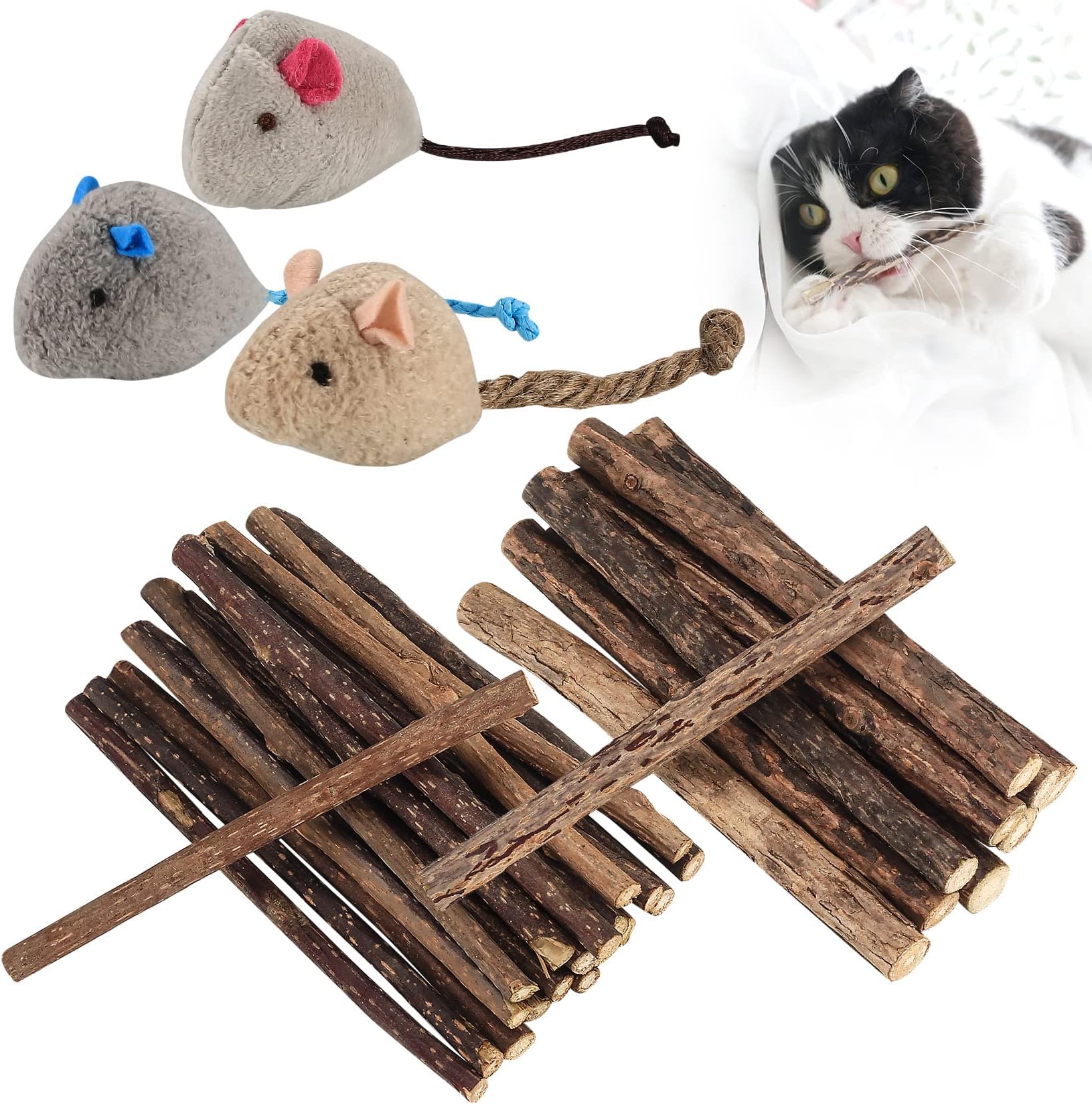 Newoutset 33 Pcs Cat Catnip Sticks, Cat Catnip Chew Toys Natural ...