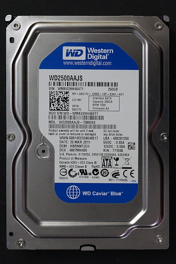 Amazon.com: WD2500AAJS-75M0A0 WESTERN DIGITAL 250GB 7200RPM SATA-300 ...