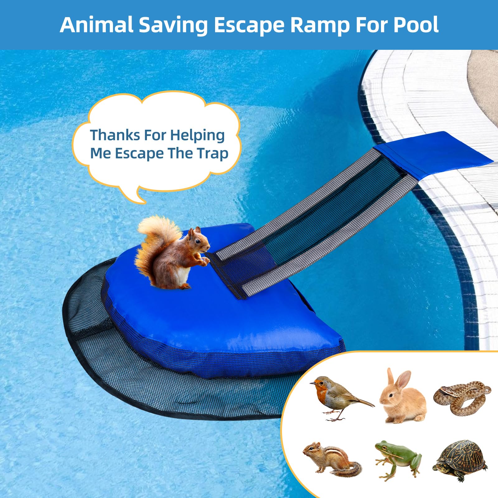 Snapklik.com : Pool Animal Escape Ramp Frog-Saver-Log - For Swimming ...