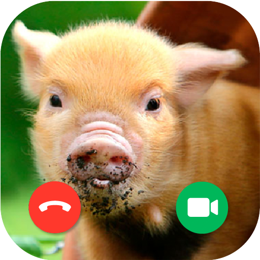 Fake Call: Piggy - App on Amazon Appstore