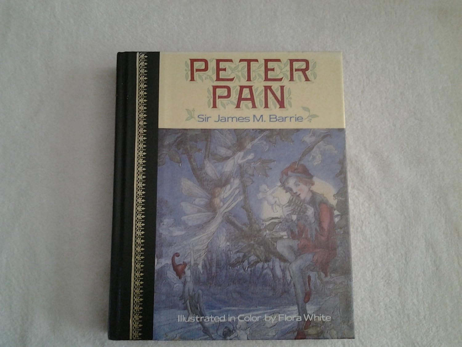 Peter Pan: Childrens Classics (Children's Classics Series): Sir James M ...