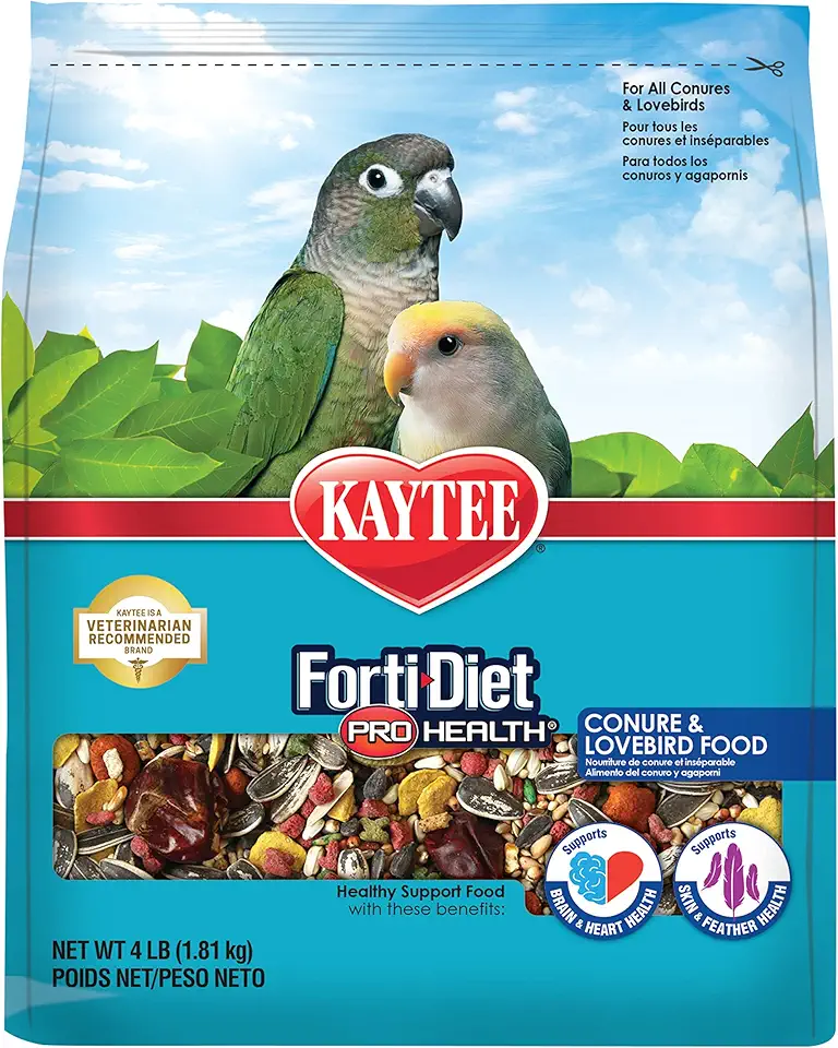 What Do Kea Parrots Eat? A Guide To The Diet Of Kea Parrots | PetShun