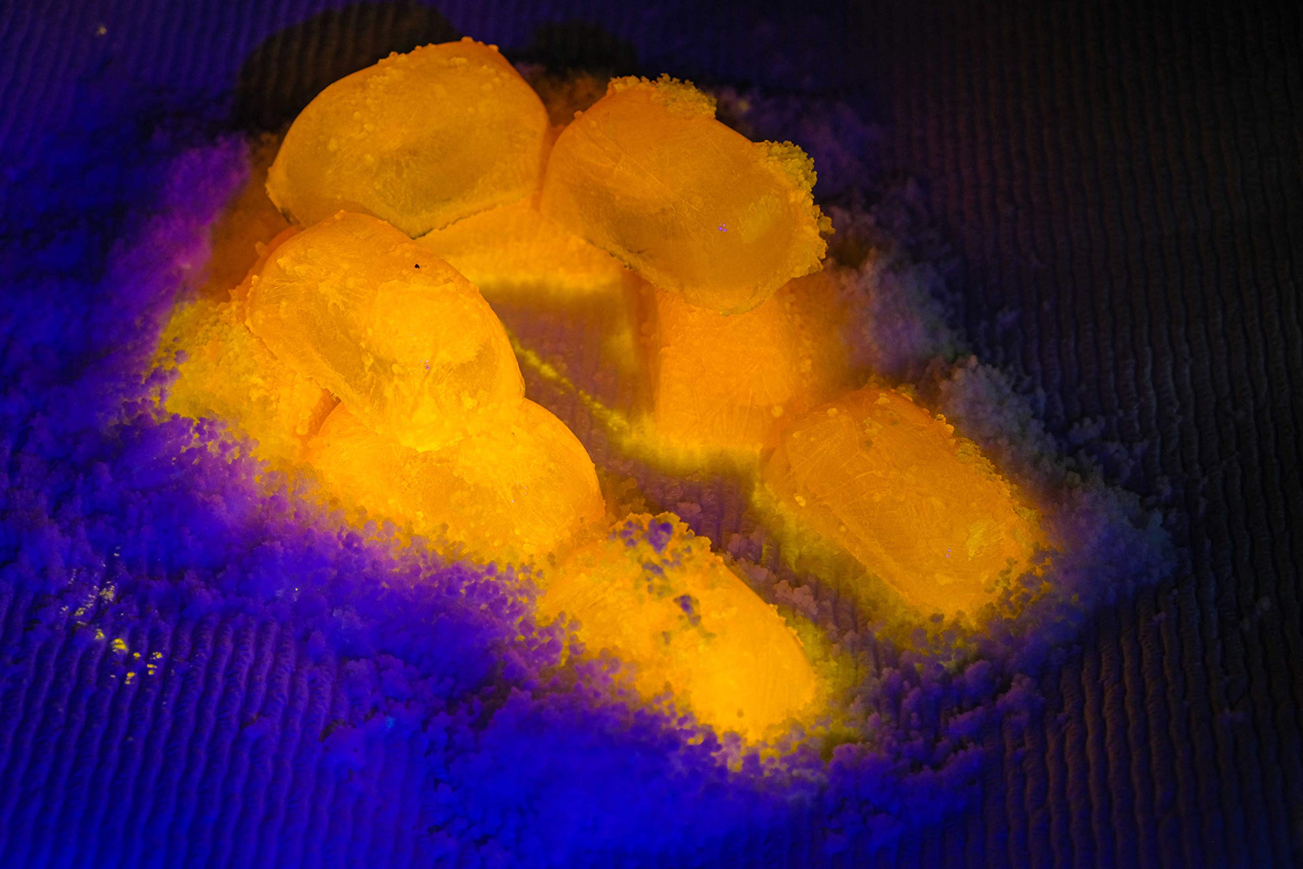 Be Amazing! Toys Big Bag of Science Lab – Glow in The Dark Science Kit ...