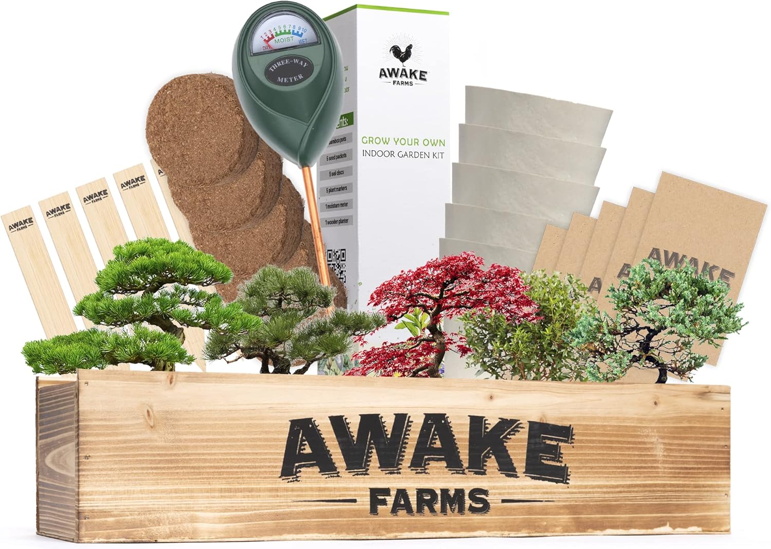 DIY Indoor Bonsai Tree Starter Kit - Grow 5 Mini Philippines | Ubuy