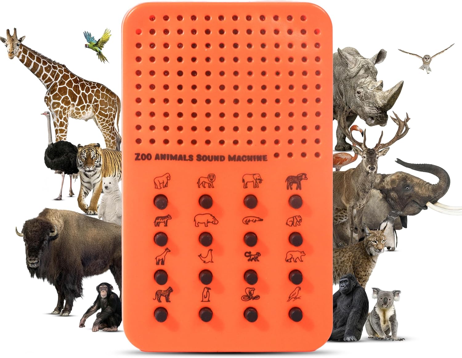 Amazon.com: Zoo Animal Noisemaker with 16 Sounds, Roars, Growls, Hisses, Screeches and Noises ...