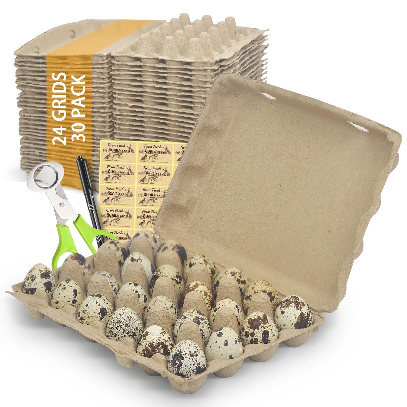 Amazon.com: HavRixor Quail Egg Cartons 30 Pack- Holds Up to Two Dozen ...