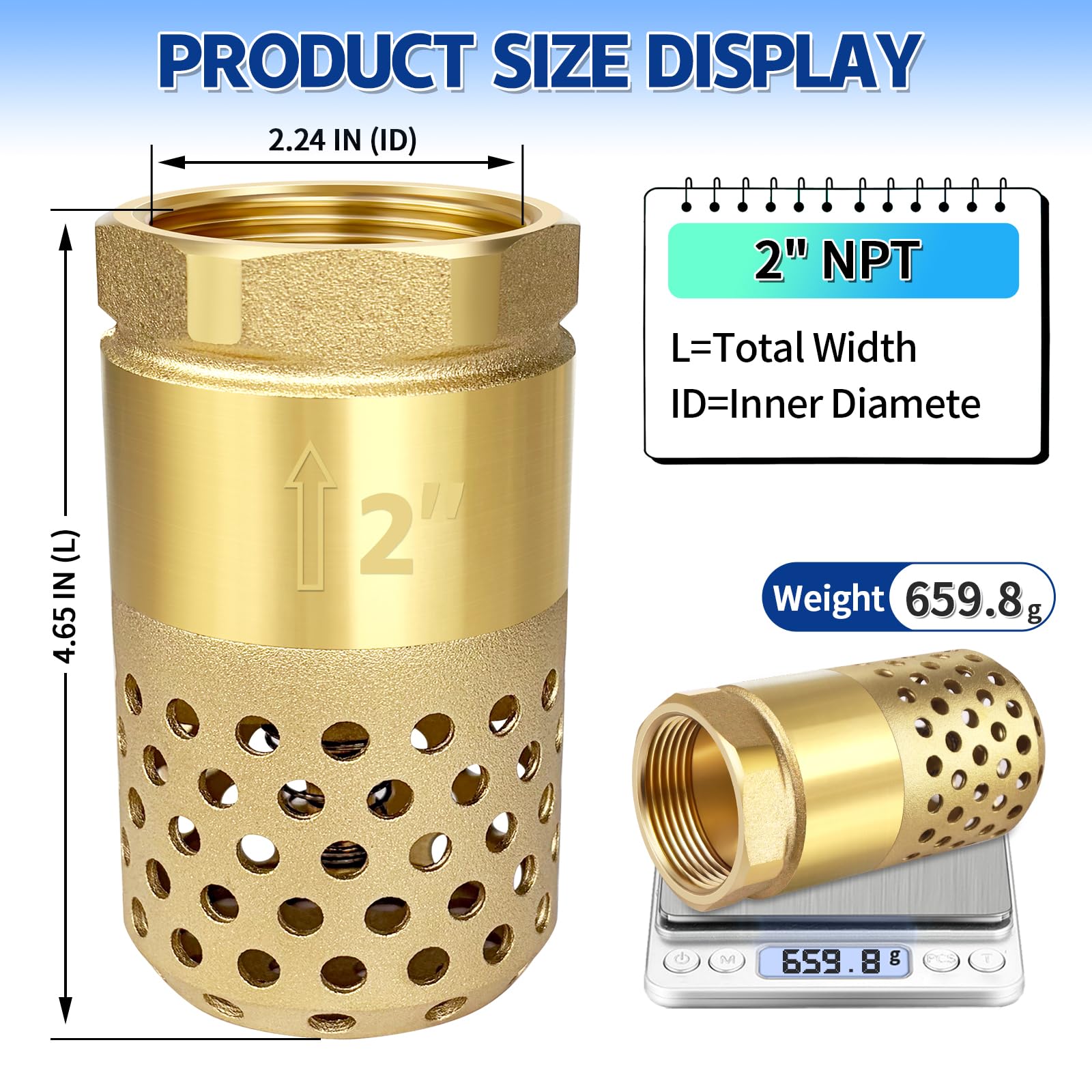 Snapklik.com : Brass Foot Valve, 2 Inch NPT Spring Mesh Check Valve ...