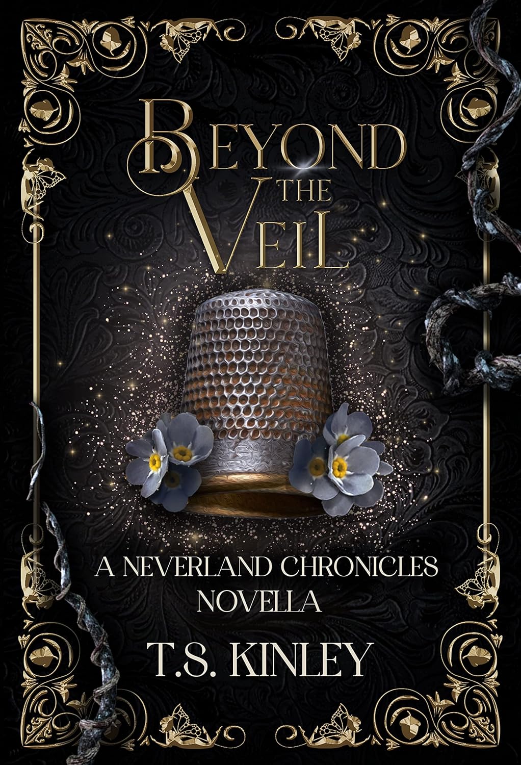 Beyond the Veil (The Neverland Chronicles) eBook : Kinley, T.S.: Amazon ...