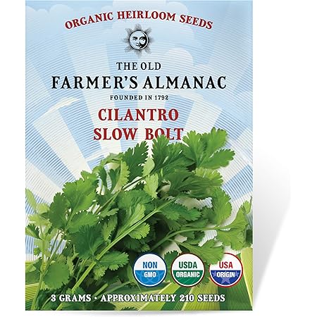Amazon.com : Sow Right Seeds - Cilantro Seed - Non-GMO Heirloom Seeds ...