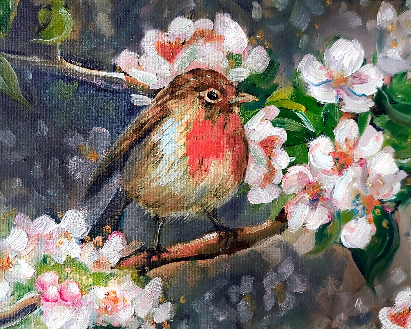 TISHIRON Paint by Numbers for Adults Red Robin Bird Paint by Numbers ...