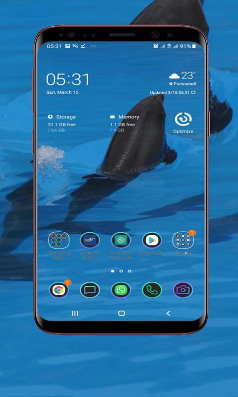 Animal Dolphin Wallpaper 4k:Amazon.de:Appstore for Android