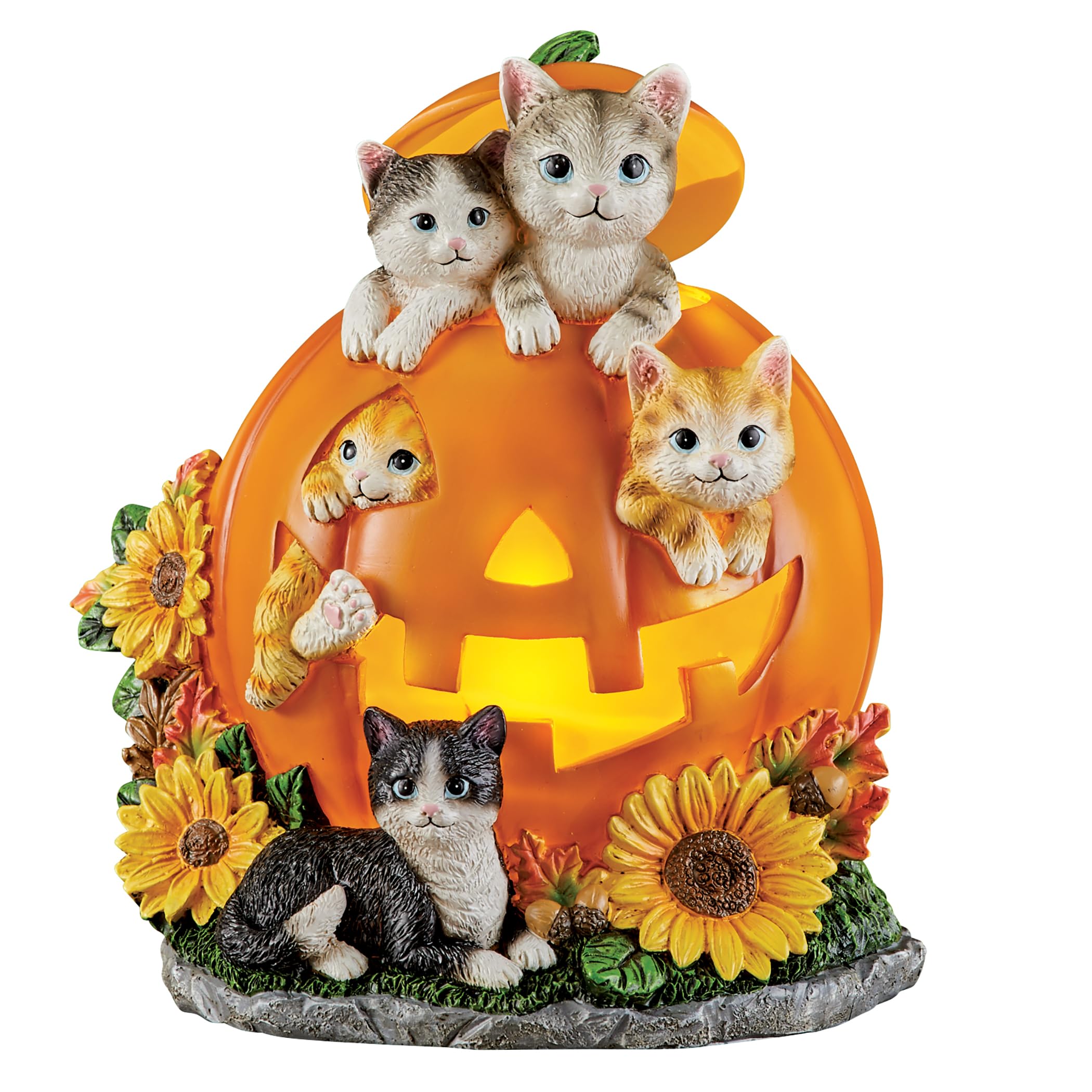 Amazon.com: Collections Etc Hand-Painted LED Lighted Pumpkin Cats ...