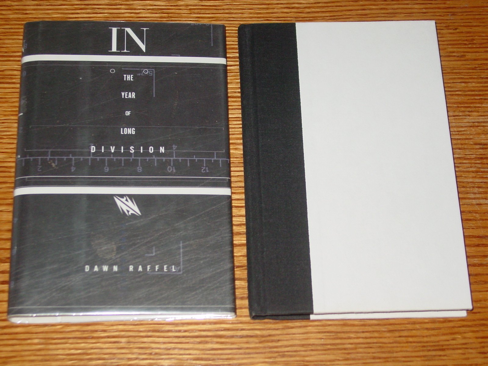 In The Year Of The Long Division: Stories: Raffel, Dawn: 9780679415817 ...