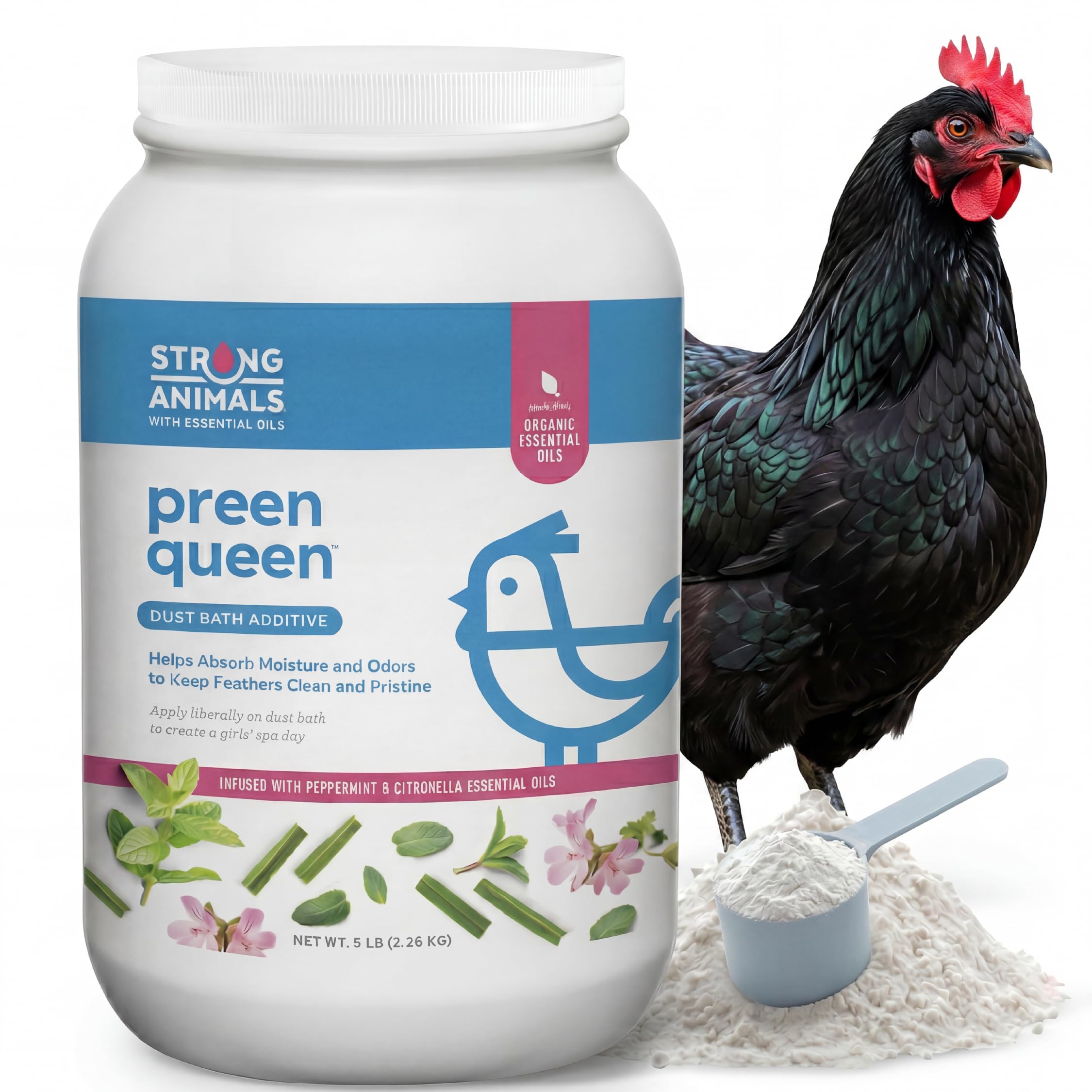 5 Best Dust Bath For Chickens | Dust Bath For Chickens That Works