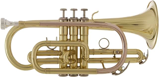 Amazon.com: Cornets - Cornets / Brass Instruments: Musical Instruments