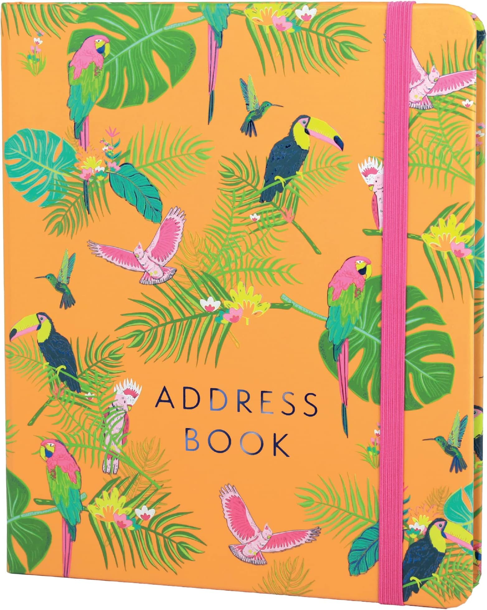 Amazon.com : C.R. Gibson Floral Watercolor Refillable 6-Ring Address ...