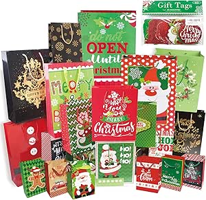 Amazon.com: Party Funny 24 Christmas Gift Paper Bags Bulk with handles ...