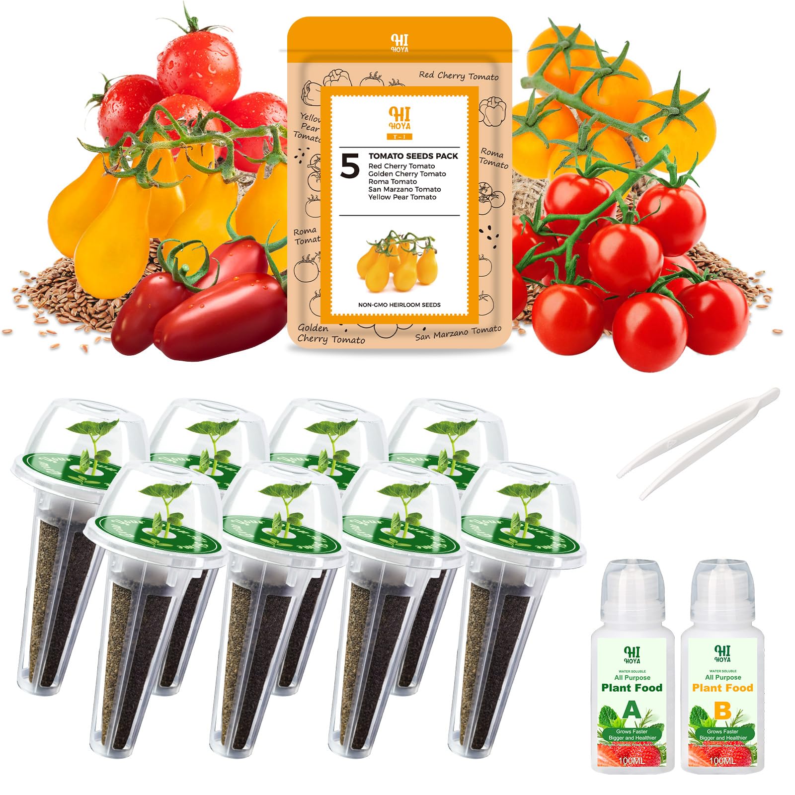 Amazon.com : Tomato Seed Pod Kit Mix of 5 Different Varieties of ...