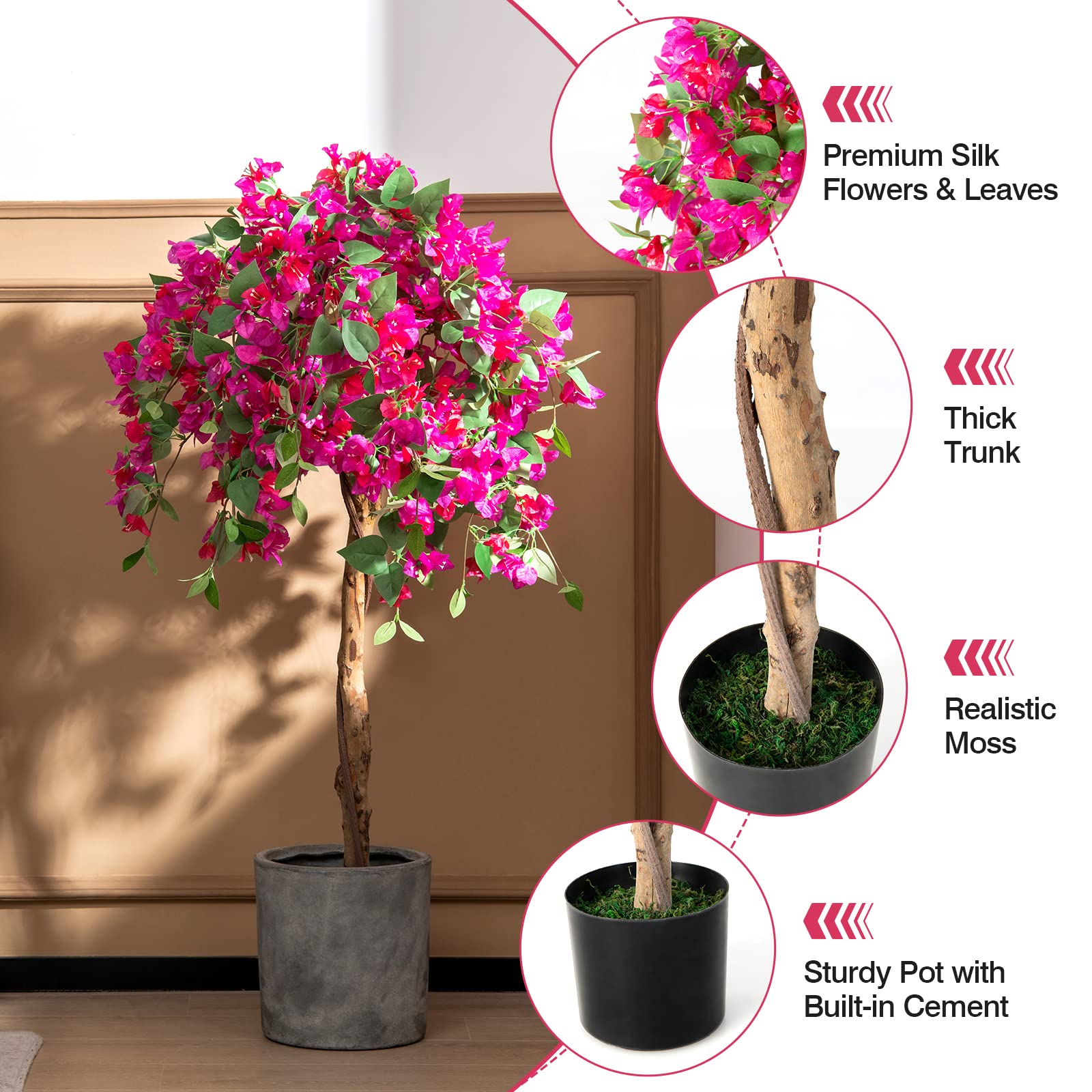 Azalea House Plant Tree Azalea: Profile, Cultivation & Winter Care