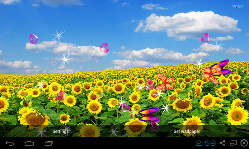 Aplicación 3D Sunflower Live Wallpapers en Amazon Appstore