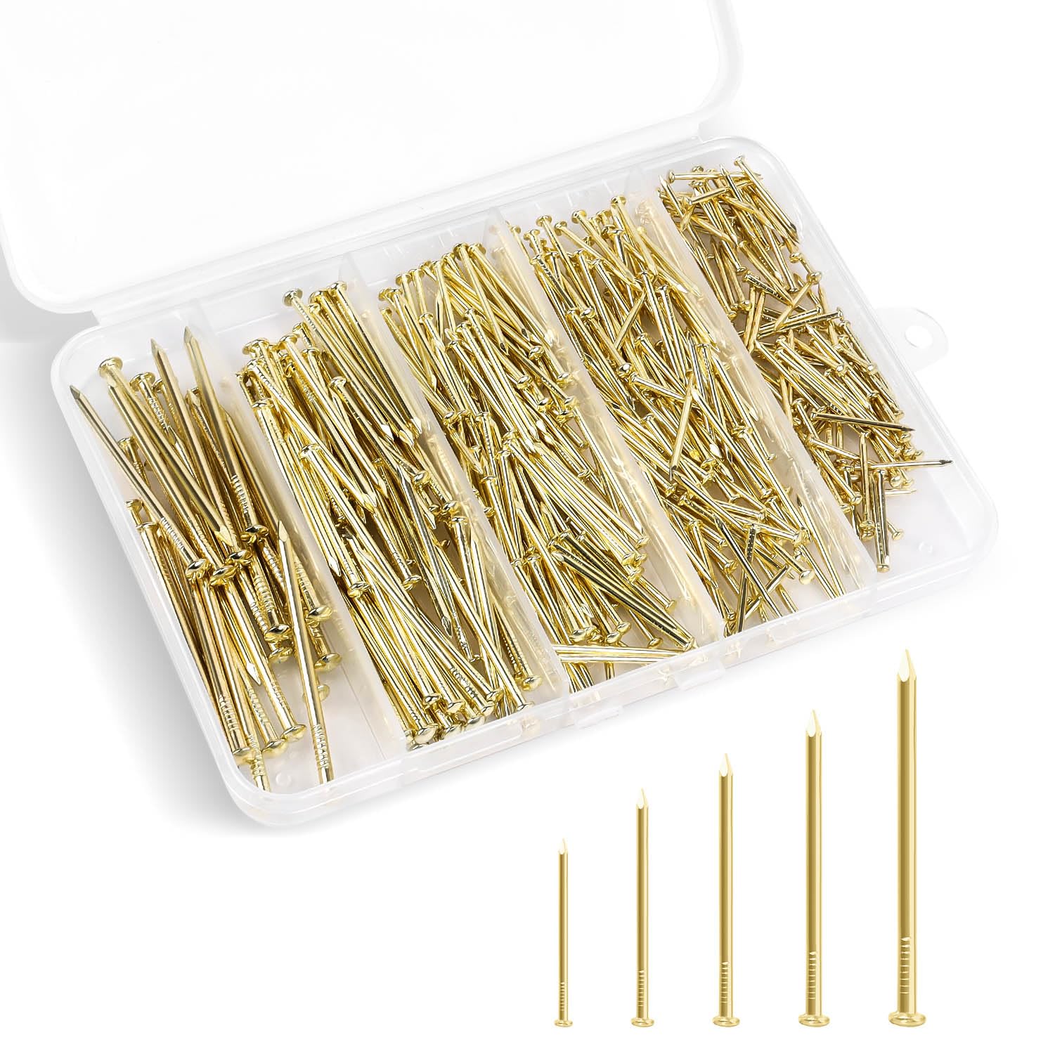 Snapklik.com : 5 Sizes Gold Hardware Nails Assortment Kit, Picture ...