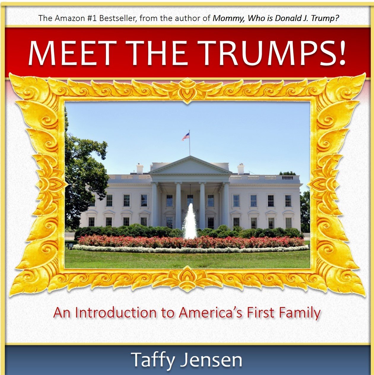 Meet the Trumps: An Introduction to America's First Family (Mommy, What ...