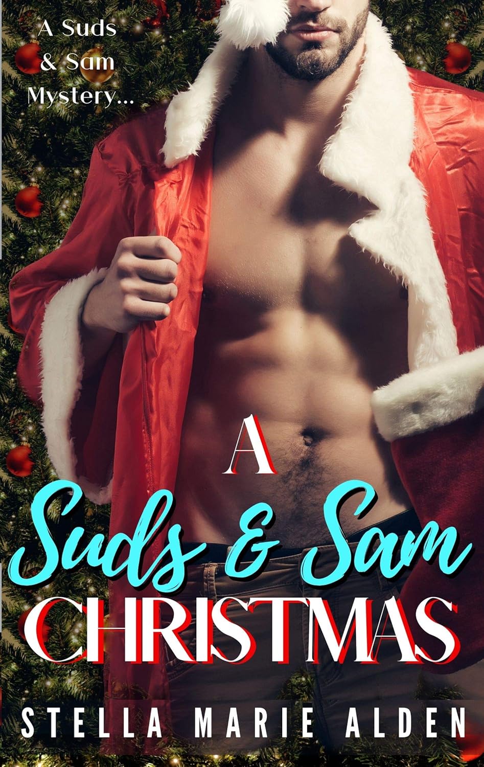 A Suds and Sam Christmas - Kindle edition by Alden, Stella Marie. Literature & Fiction Kindle ...