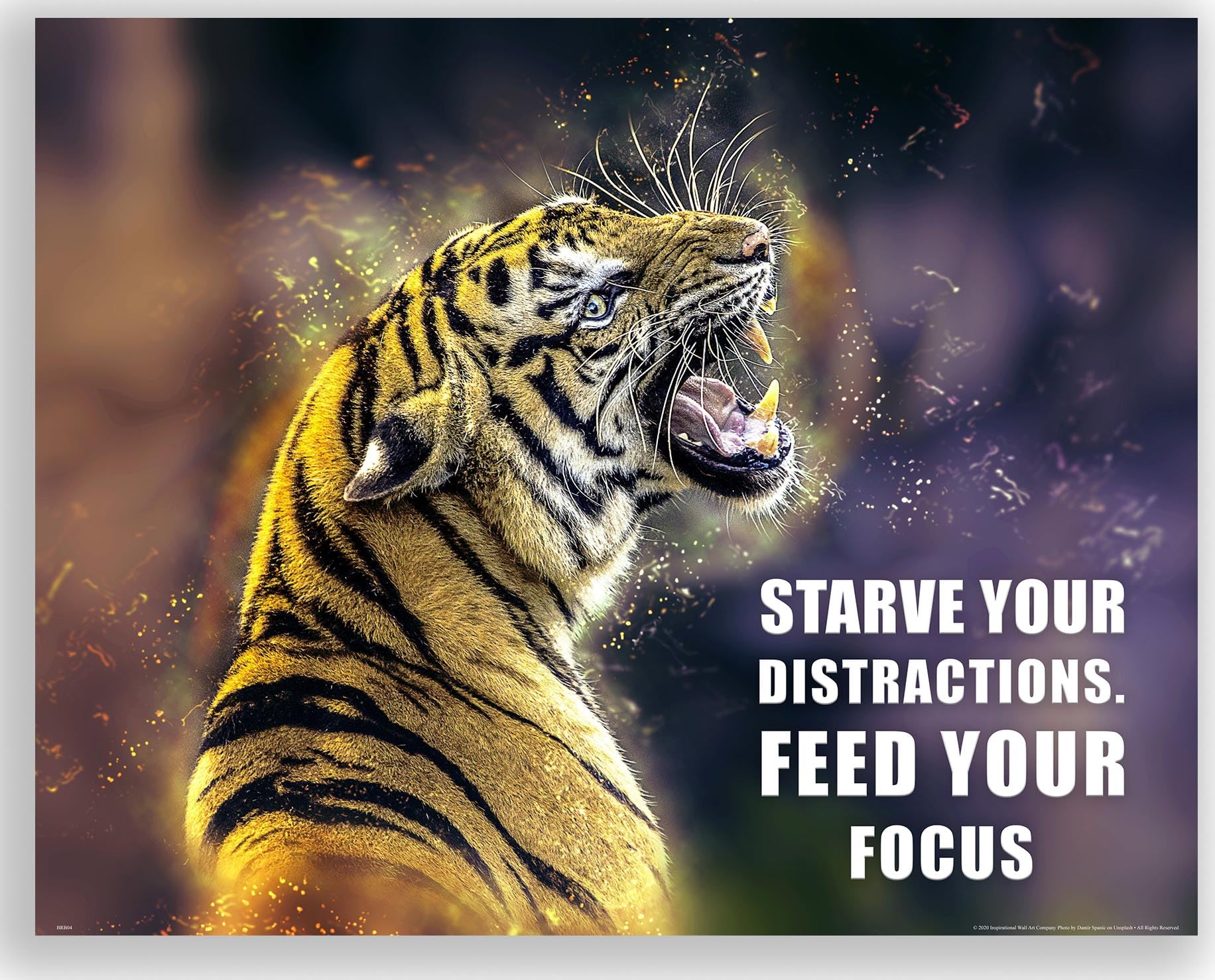 Tiger Motivational Quotes Tiger Mug Sublimation With Motivation Quotes