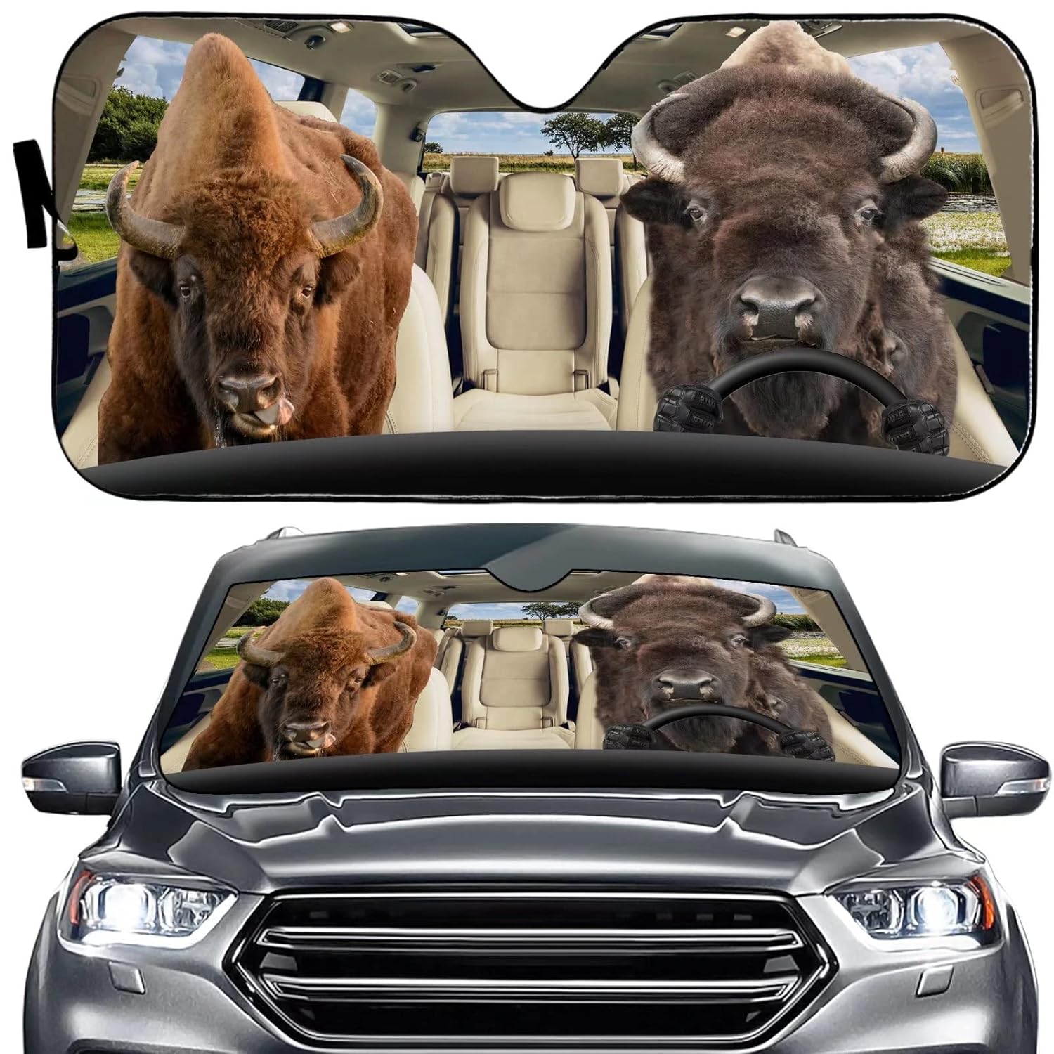 Amazon.com: Bison Auto Sun Shade Car Windshield Window Cover,Funny ...