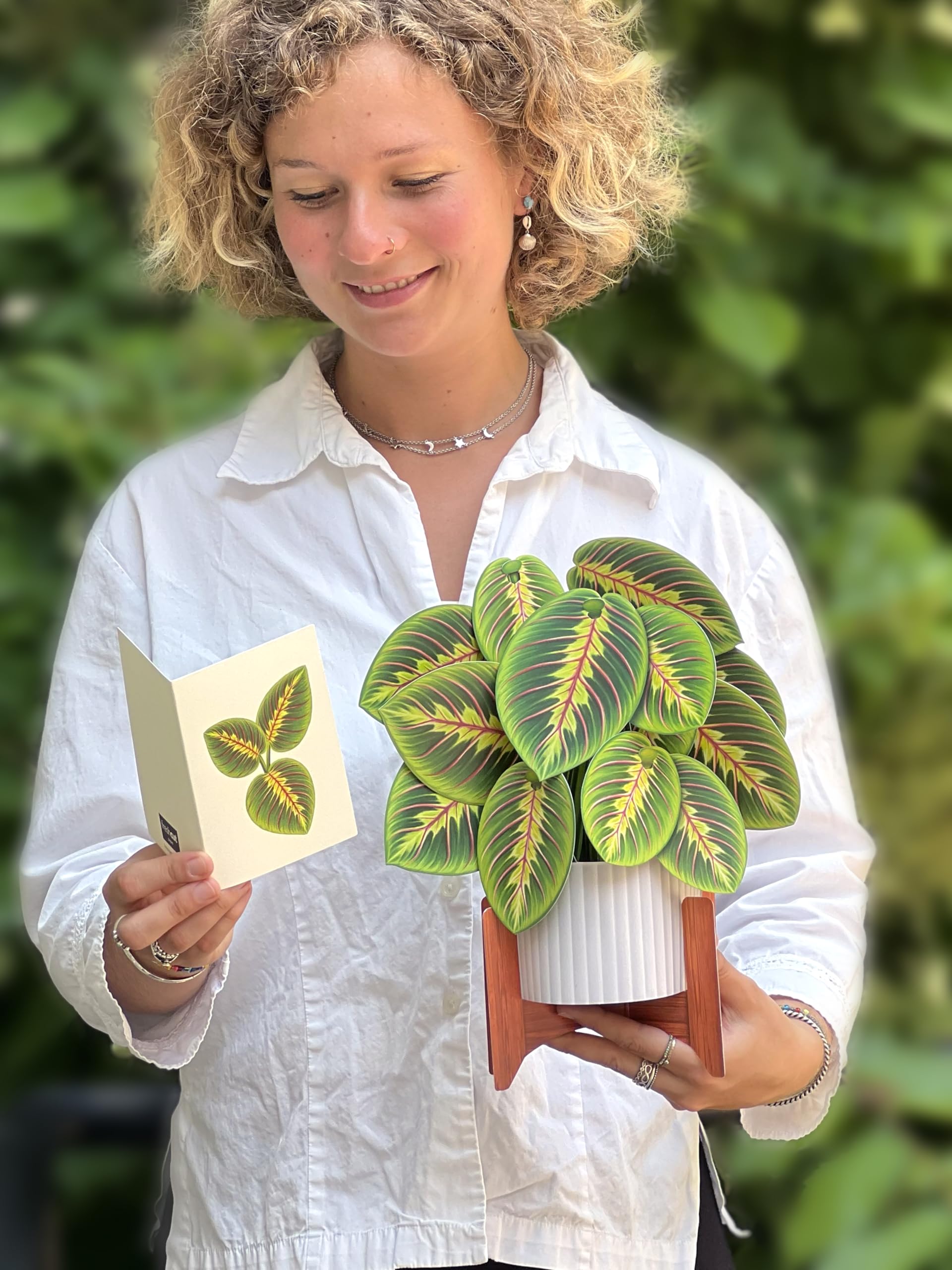 Snapklik.com : Pop Up Cards, Prayer Plant, 12 Inch Life Sized Paper ...