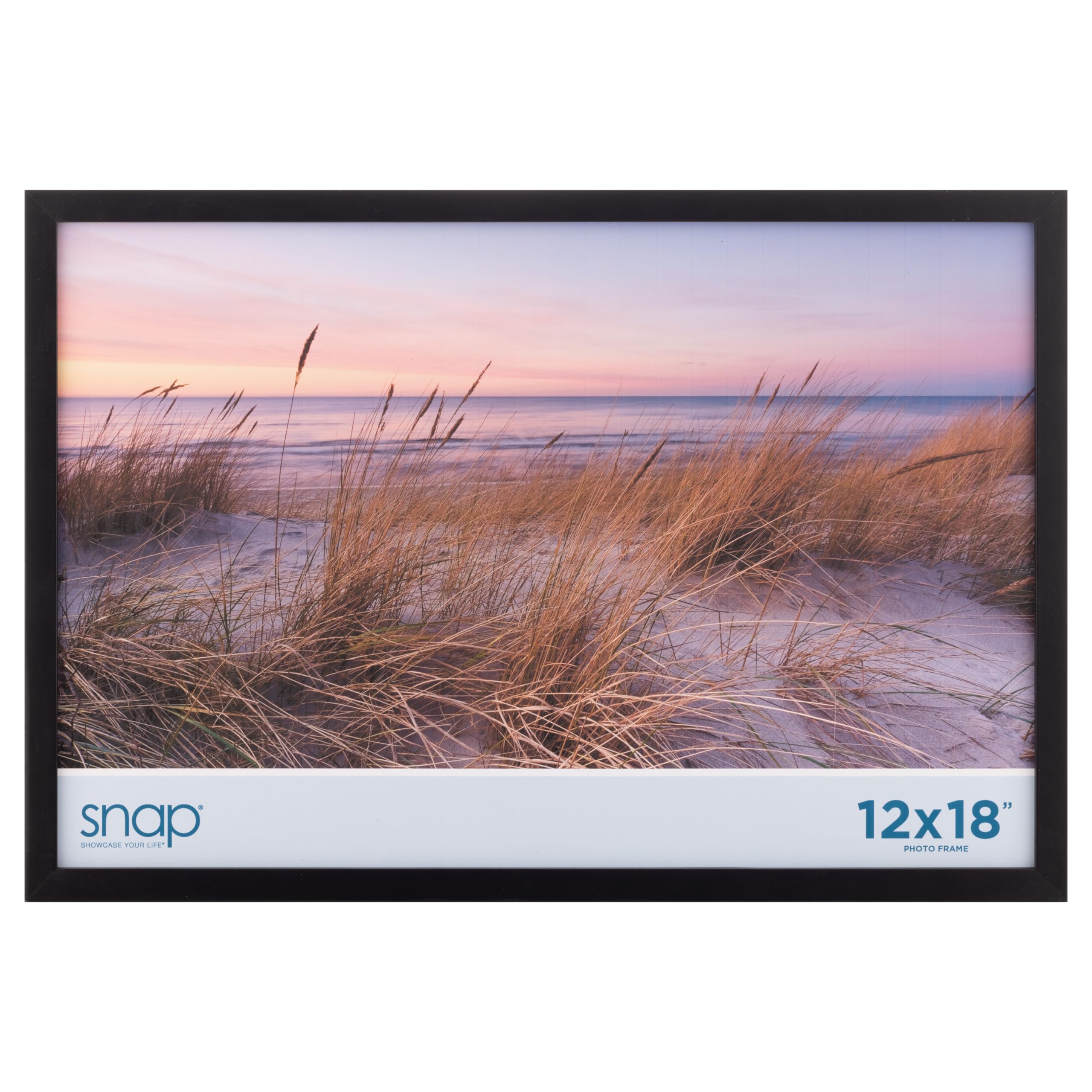 Amazon.com - Gallery Solutions - Size 12"x18" - Picture Frame - Black ...