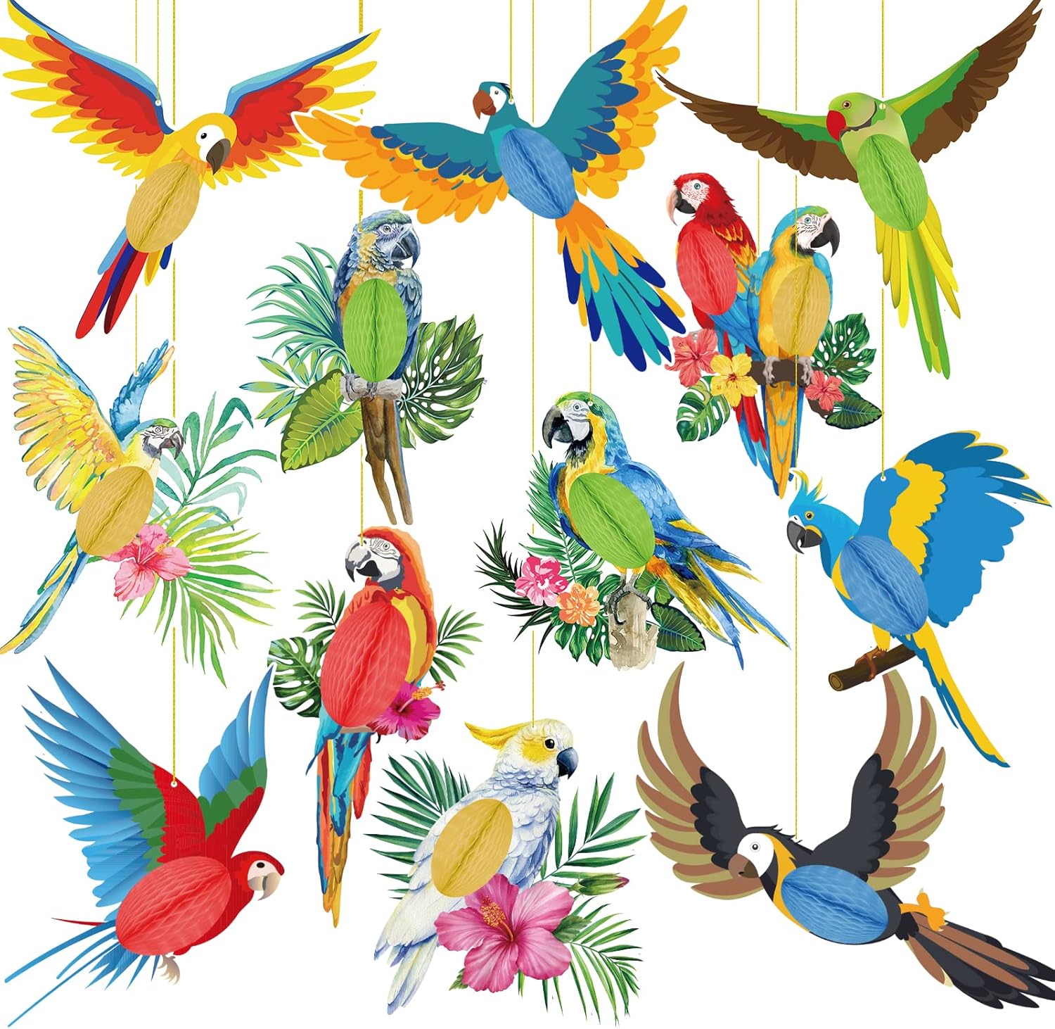 Amazon.com: 12 Pieces Tropical Birds Honeycomb Paper Cutouts Hanging ...