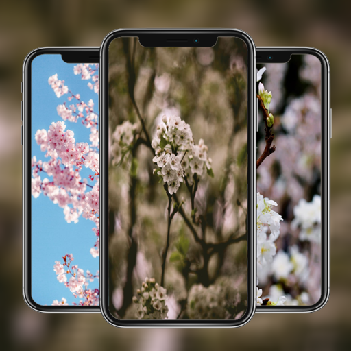 Spring Wallpapers and Backgrounds - App on Amazon Appstore