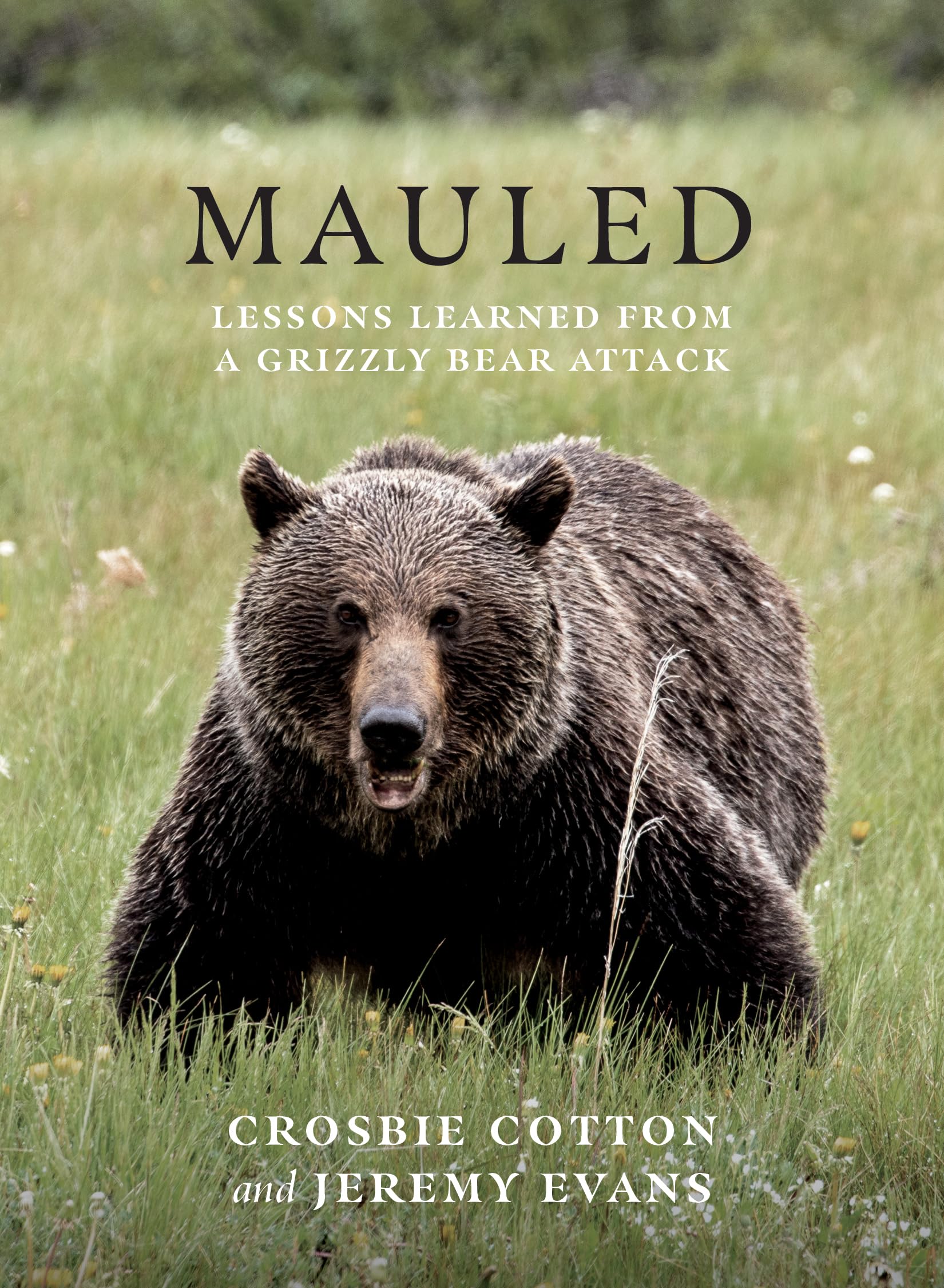 Mauled: Lessons Learned from a Grizzly Bear Attack: Evans, Jeremy ...