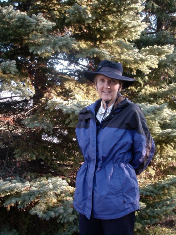 Amazon.in: Lisa L. Osen: books, biography, latest update