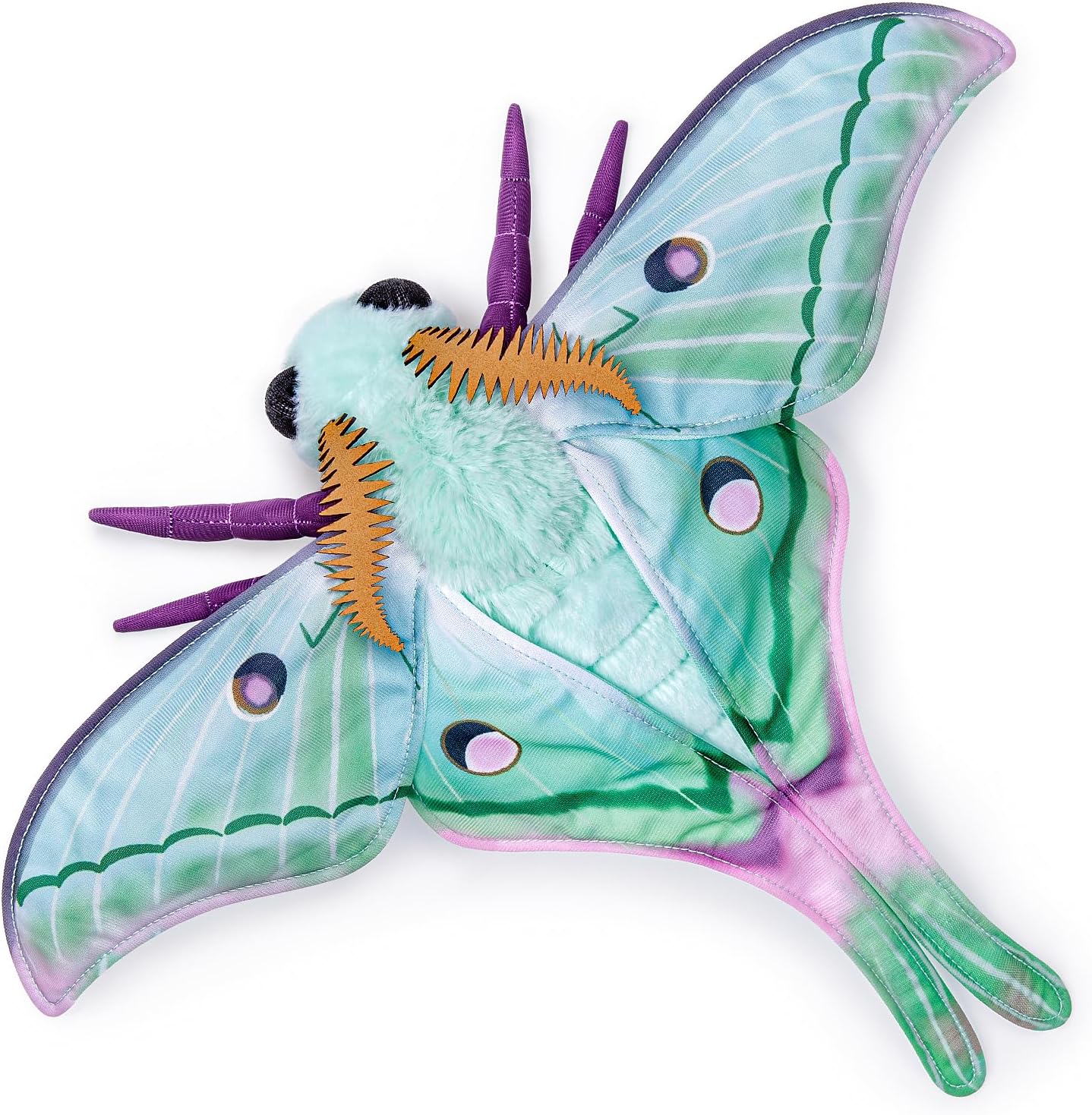 FRANKIEZHOU Realistic Luna Moth Plush Animal - Green 9.8 Inch, Long ...