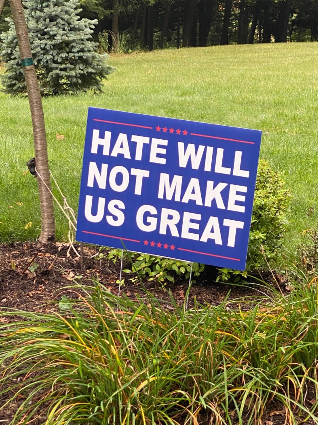 Amazon.com : Hate Will Not Make Us Great - No MAGA - Anti-Trump 18X24 ...