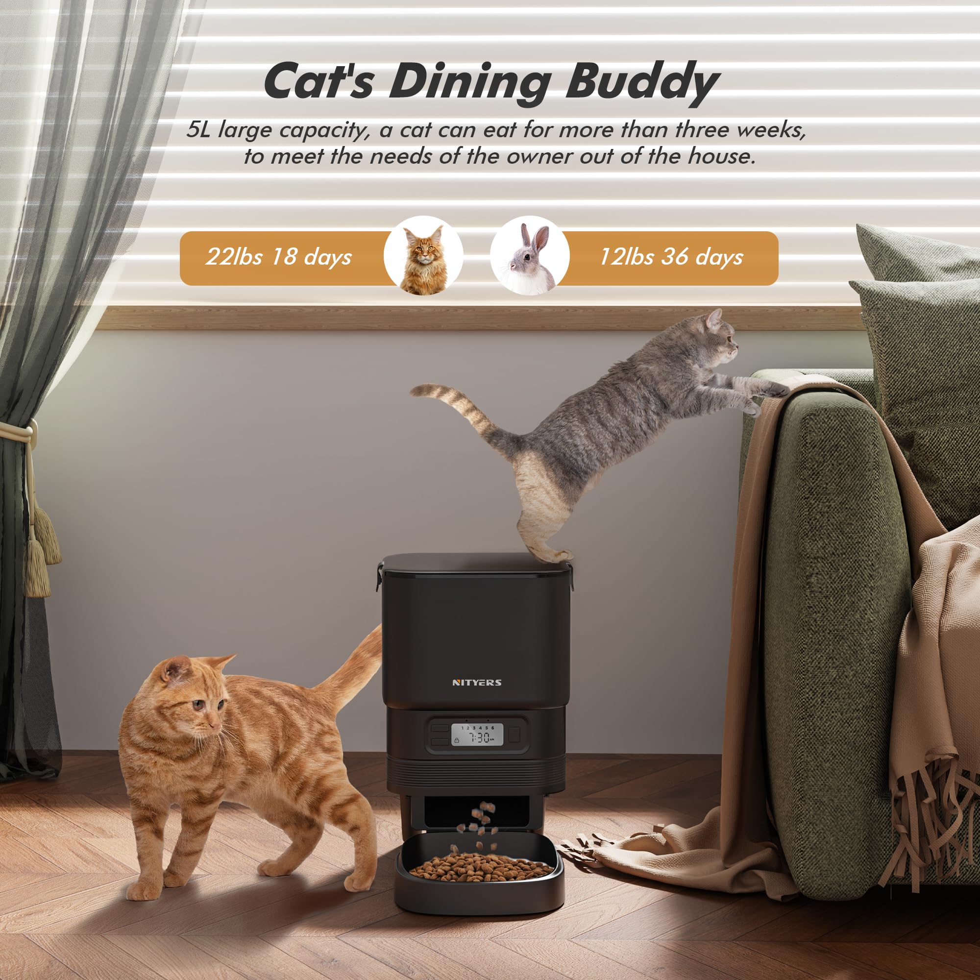 Automatic Cat Feeder Wifi Pet Supplies : AIPET Automatic Pet Feeder For ...