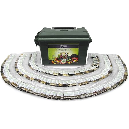 Amazon.com : Garden Seeds Vegetable Variety Pack for Planting - Grow ...