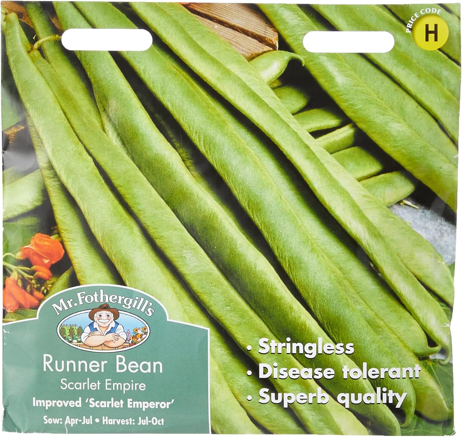 Mr Fothergill's Runner Bean Scarlet Empire (Stringless) : Amazon.co.uk ...