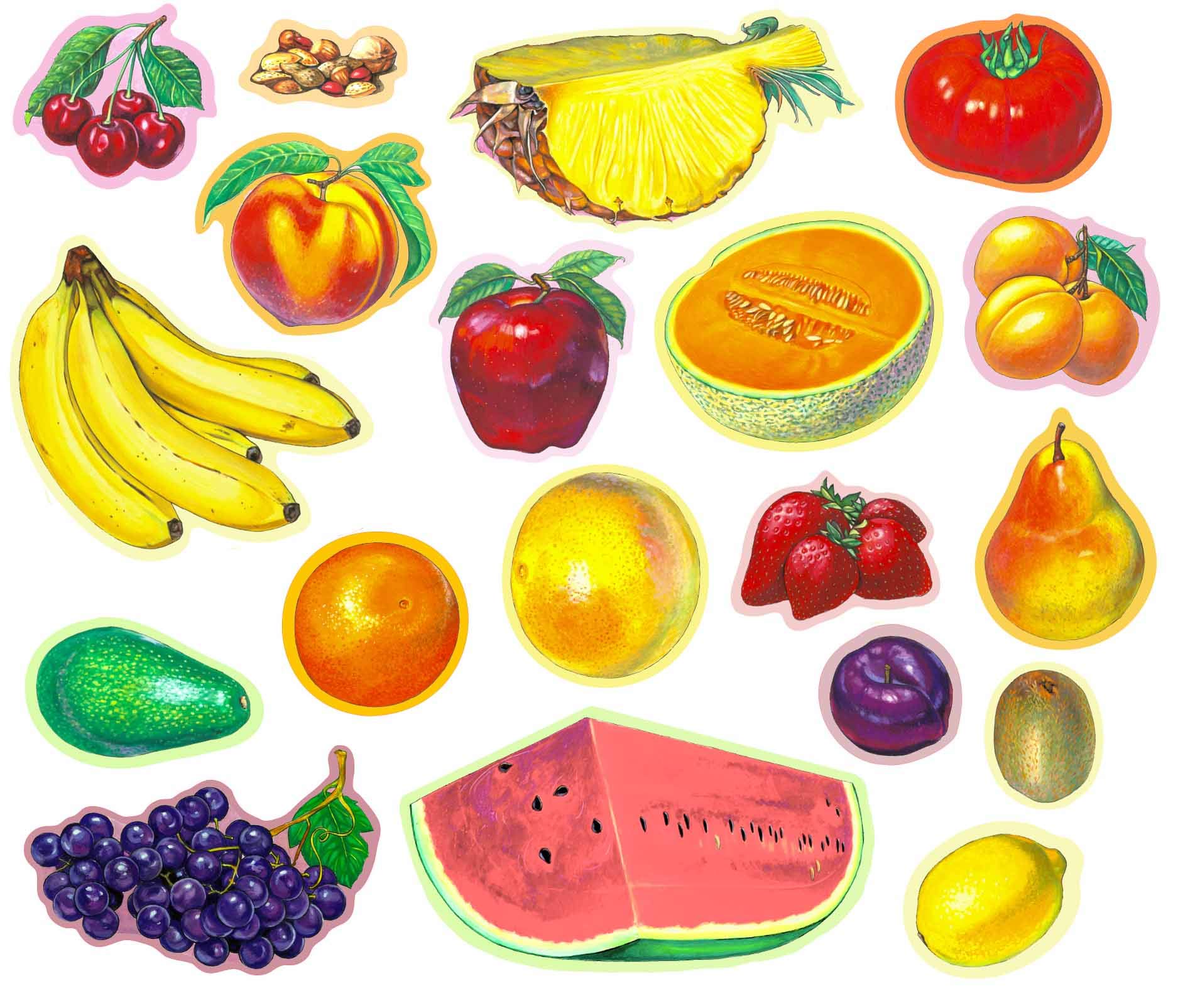 Amazon.com: Story Time Felts 19 Piece Fruits & Nuts PRECUT Felt Flannel ...