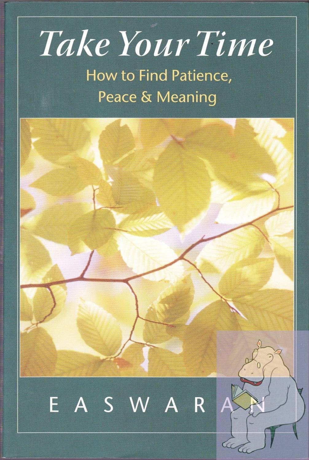Take Your Time: How to Find Patience, Peace, and Meaning: Amazon.co.uk ...