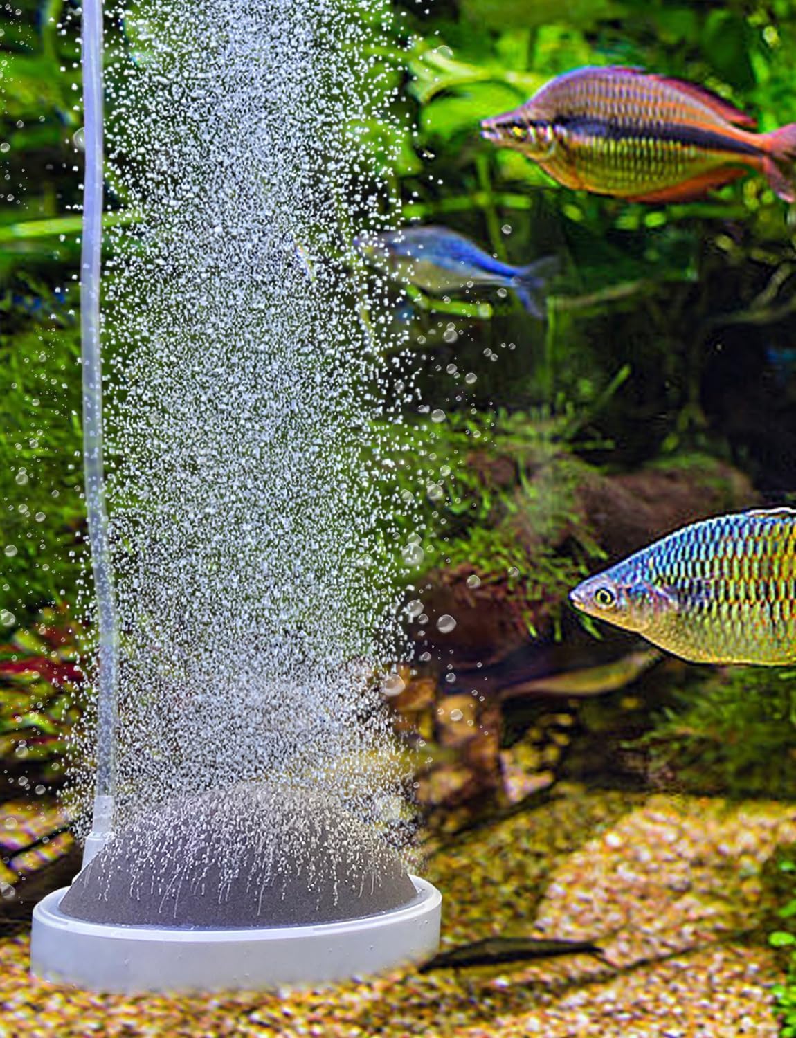 boxtech Aquarium Air Stone, Oxygen Stone Nano Bubble Air Stone Decor ...