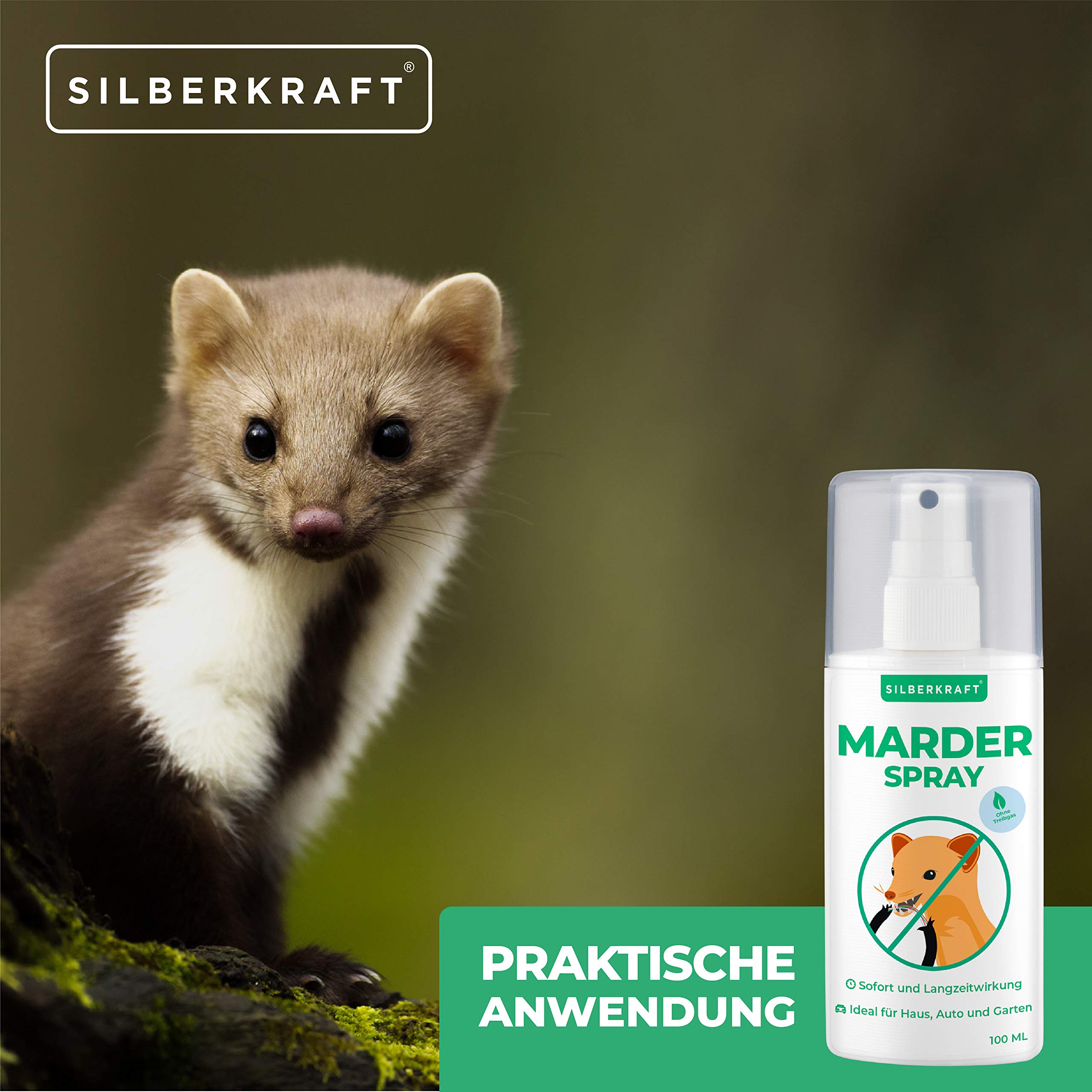 Silberkraft Marten Spray 100 ml, Marten Repellent for Car and Attic ...