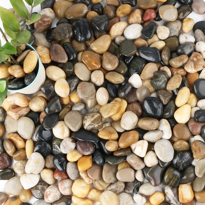 Amazon.com: Anothera 18-lb Bulk Bag Pebbles for Plants 1-1.5 ” Aquarium ...