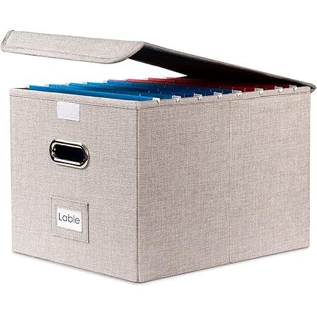 Amazon.com : SUPERJARE File Box for Hanging Files, Set of 2, Storage ...